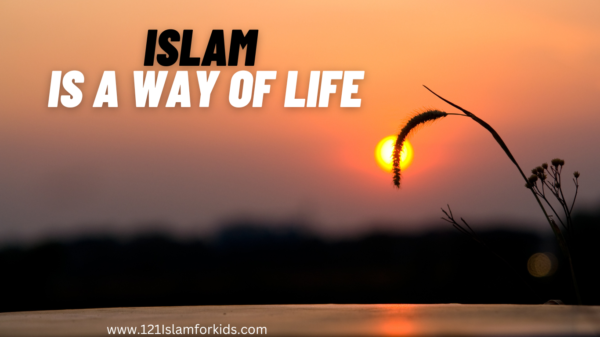 Islam Is A Way Of Life| Is It A Natural Religion?10 FAQ'S.